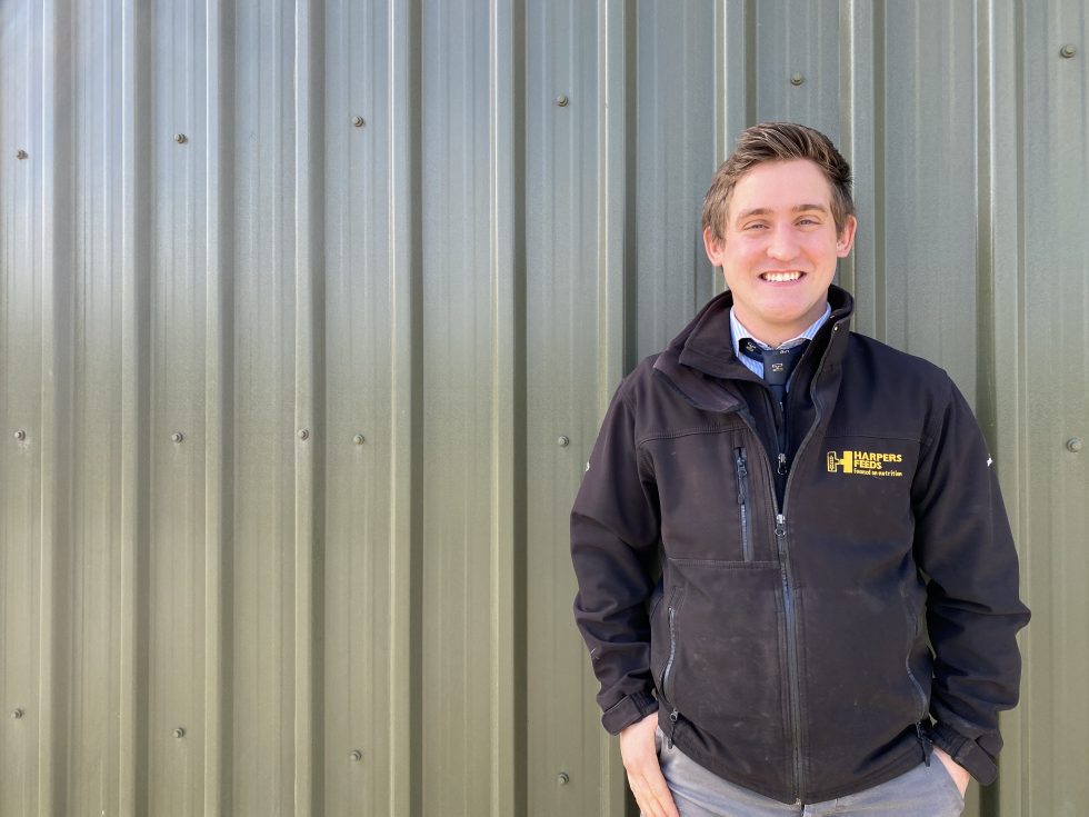 Meet The Team - Harpers Feeds